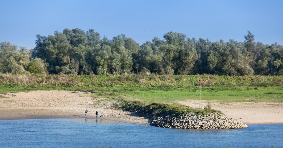 Krib- en Oeververlaging Pannerdensch Kanaal richting uitvoering